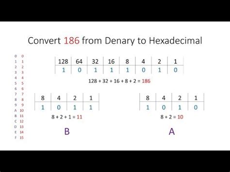 8 Digit Hex Code 08 2021