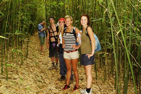 Trekking In Vieng Phoukha Phou Iu Travel And Ecotourism Laos
