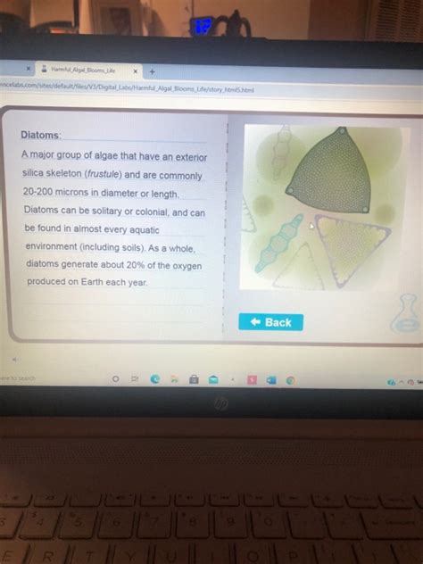Post Lab Questions Create Graph Displaying The Chegg