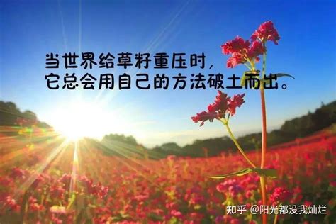 鼓励人积极向上努力奋斗的句子看一句就热血沸腾浑身是劲 知乎