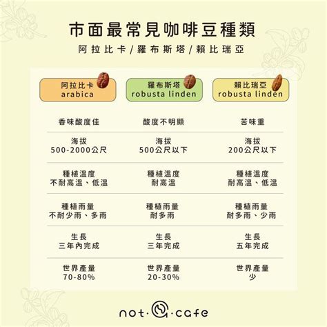 Discover The Most Common Coffee Varieties