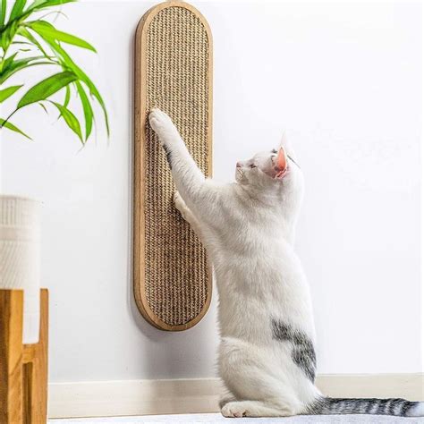 25 Genius Problem Solving Products That Every Cat Owner Should Invest