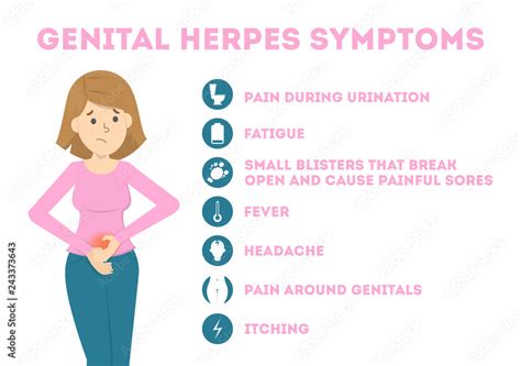Genital Herpes Symptoms Infectious Dermatology Disease Illustration Stock Vector Adobe Stock