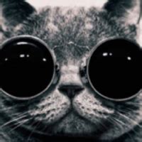 请教使用base64之后数据过长入不了库 CSDN社区