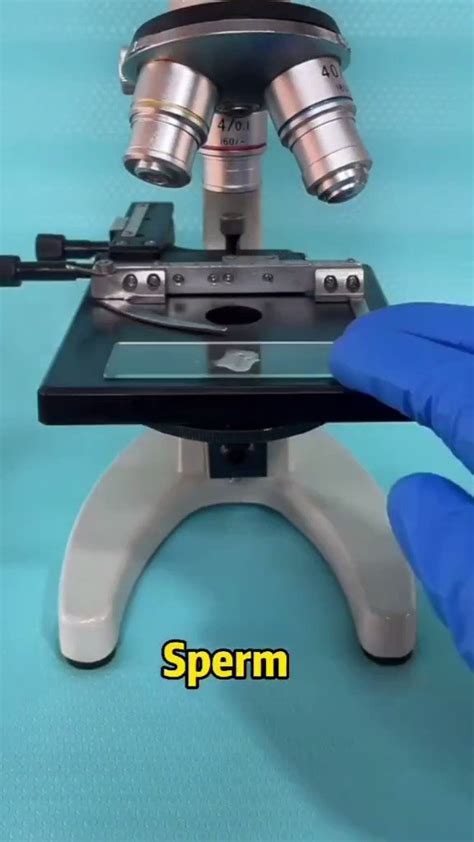 Fascinating Photos Reveal What Tears Look Like Under A Microscope My Xxx Hot Girl