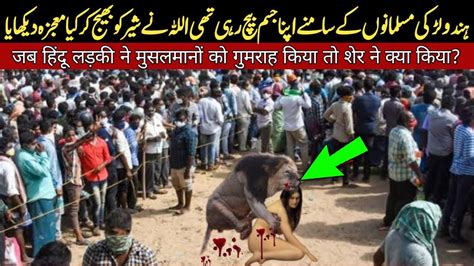 Sher Ne Aik Hindu Larki Pr Hamla Kar Diya Bharat Ka Waqia Urdu