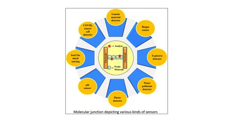 Insight Of Employing Molecular Junctions For Sensor Applications Acs