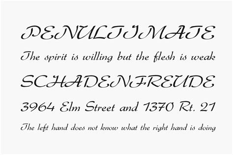 Gabrielle Fonts Shmonts