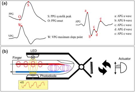 Biosensors Free Full Text Recent Progress In Long Term Sleep