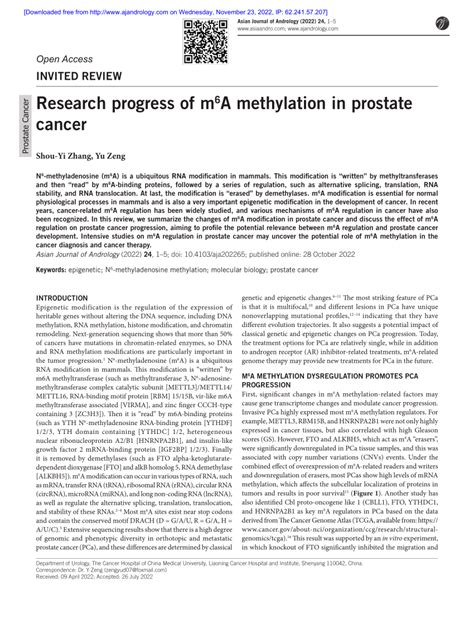 Pdf Research Progress Of M6a Methylation In Prostate Cancer