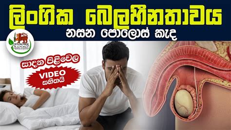 ලිංගික ශක්තිය වඩවන විශ්මිත ඔසුව පොලොස් කැඳ ගැන අහල තියෙනවද Lingika Belaheenathawa Sex