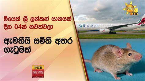 මීයෙක් ශ්‍රී ලංකන් යානයක් දින 04ක් නවත්වලා ඇමතියි සමිති අතර ගැටුමක් Hiru News Youtube