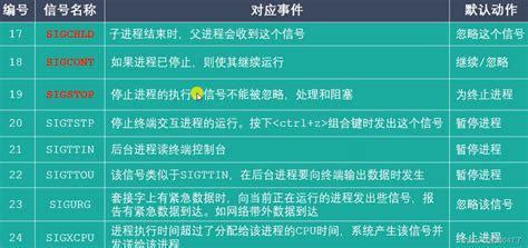 Linux并发服务器 —— 多进程并发 进程间的通信及实践（五）qt Linux 两个进程之间通信 Csdn博客