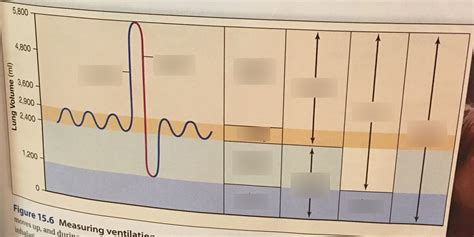 Spirometry Graph Quiz At Alfred Wilford Blog