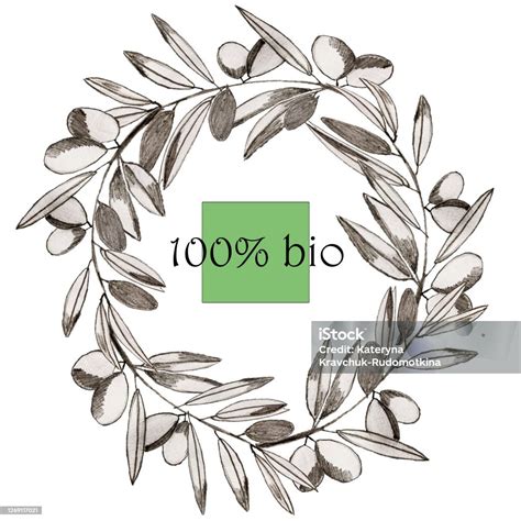 녹색 광장에서 텍스트 100 바이오 와 올리브 화환 올리브 가지 올리브 생산 디자인 요소 로고 디자인 패키징 디자인 0명에 대한 스톡 벡터 아트 및 기타 이미지 Istock