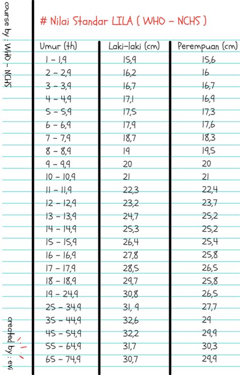 Klasifikasi Umur Menurut Who Dan Masalah Kesehatannya My Xxx Hot Girl