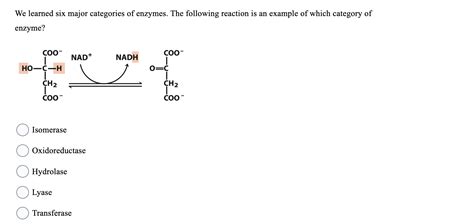 Solved We Learned Six Major Categories Of Enzymes The Chegg Com