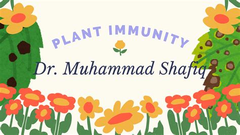 Plant Immunity Understanding Through Genome Wide Analysis