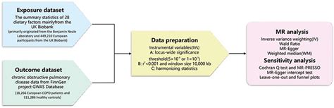The Specific Protocol For A Two Sample Mendelian Randomization Analysis Download Scientific