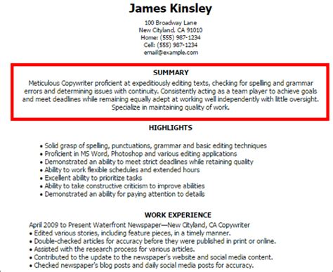Summary Statement Resume Examples