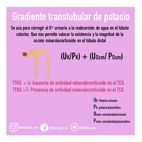 Nefromania Mx Los Trastornos Del Potasio Son Frecuentes
