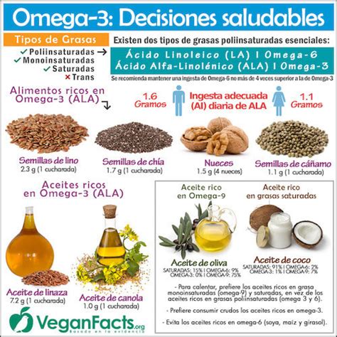 Fuentes Veganas De Omega 3 Guia Vegana Para Principiantes The Vegan
