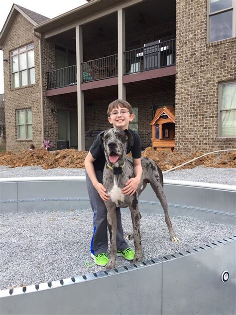 Deacon Damage Report Horsing Around In The Pool Facebook