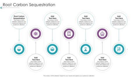 Root Carbon Sequestration Powerpoint Presentation And Slides Ppt Powerpoint Slideteam