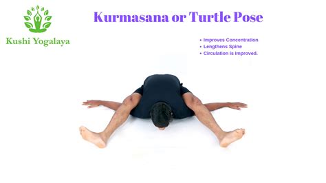 Kurmasana Tortoise Pose A Symbol For Longevity And Steadfastness