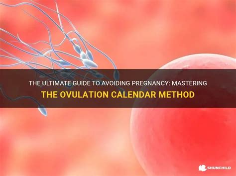 The Ultimate Guide To Avoiding Pregnancy Mastering The Ovulation