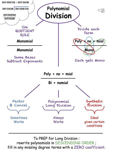 Polynomials Understanding The Basics