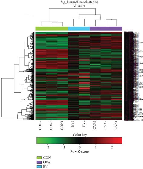 Hierarchical Clustering Analysis And Heat Map Diagram Green And Red