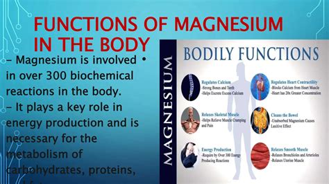 Presentation About Magnesiumpptx