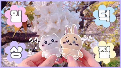 도쿄 일상덕질 조각 모음zip🍀온 세상이 치이카와 벚꽃 피크닉 시부야 나가노마켓 디즈니스토어 아사쿠사 산책