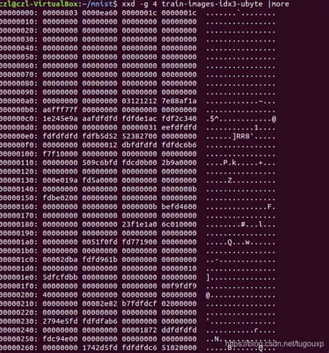 Mnist数据集解析 Csdn博客