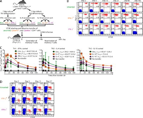 Figure 1 From Long Lived Virus Reactive Memory T Cells Generated From Purified Cytokine