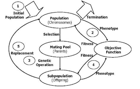 genetic algorithm cycle [17] download scientific diagram
