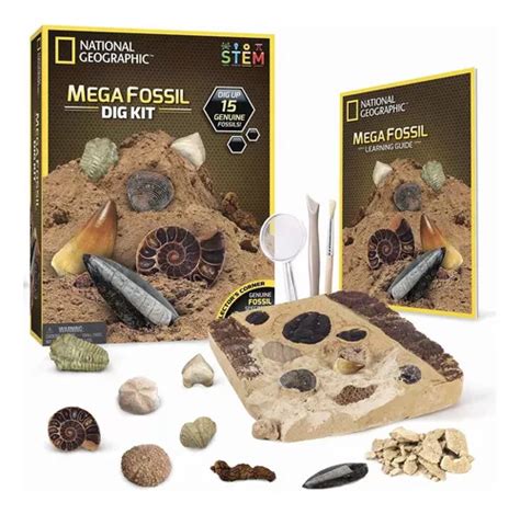 Kit De Slime Mega Mina De Fosiles Desentierra 15 Fosil Ksl