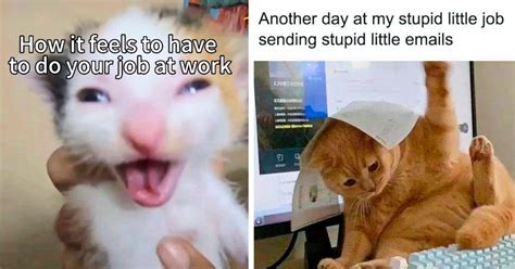 23 Cats Going To Work Extra This Fluffing Furiday To Earn Extra For