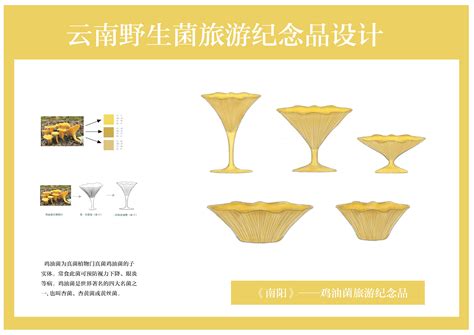 菌南 毕设展 矮凳网