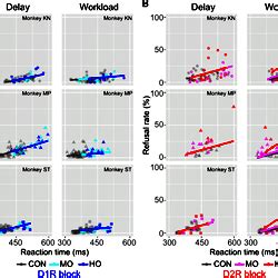 Relationship Between Refusal Rate And RT In Work Delay Task