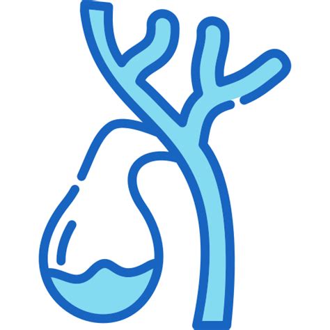 Gallbladder Generic Color Lineal Color Icon