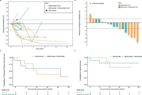 Ipilimumab Alone Or In Combination With Nivolumab In Patients With Advanced Melanoma Who Have