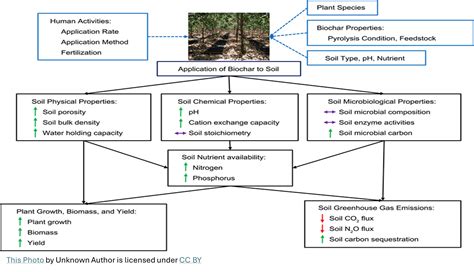 Terraforma Biochar What Is It How Does It Work And What Is It