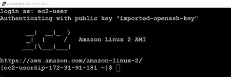 Rewind Or Forward The Amazon Aurora Cluster With Mysql Compatibility Using Backtrack Feature