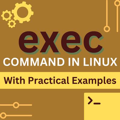 The Exec Command In Linux Practical Examples The Exec Command In Linux Practical Examples