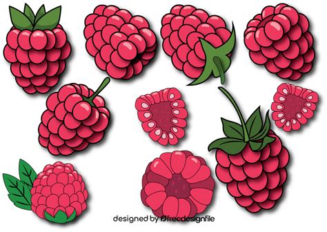 Raspberry Vector Free Download
