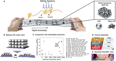 Strain‐insensitive Bmp Film And Its Characteristics A Schematic Download Scientific Diagram
