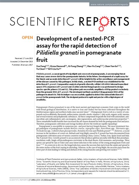 Development Of A Nested Pcr Assay For The Rapid De Pdf Polymerase Chain Reaction Dna