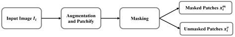Multi View Masked Autoencoder For General Image Representation